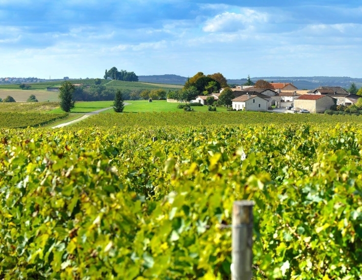 Cognac vs. Armagnac | WinePlanet.sk